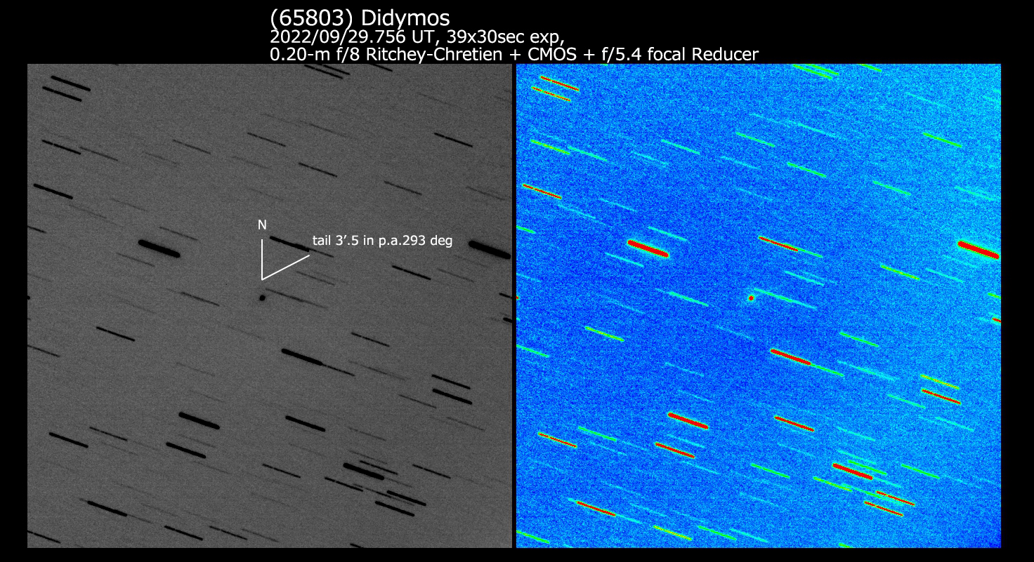 (65803) Didymos – 星もよう SHUNAN